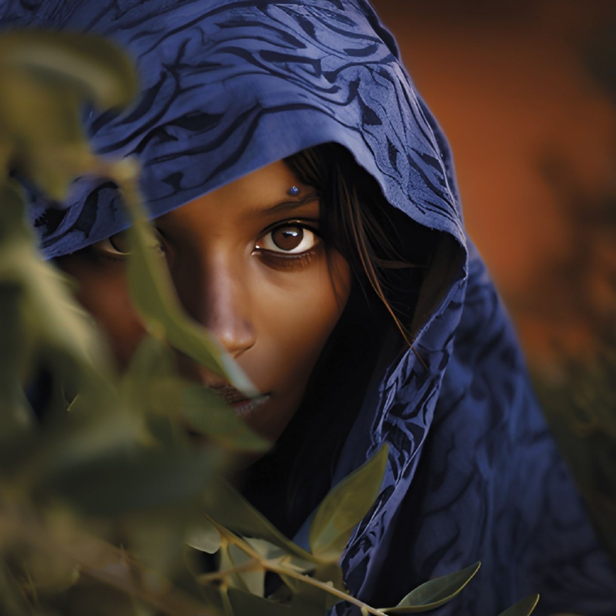 Elogi de la ‘Bona Blava’ – Les Rades Grises